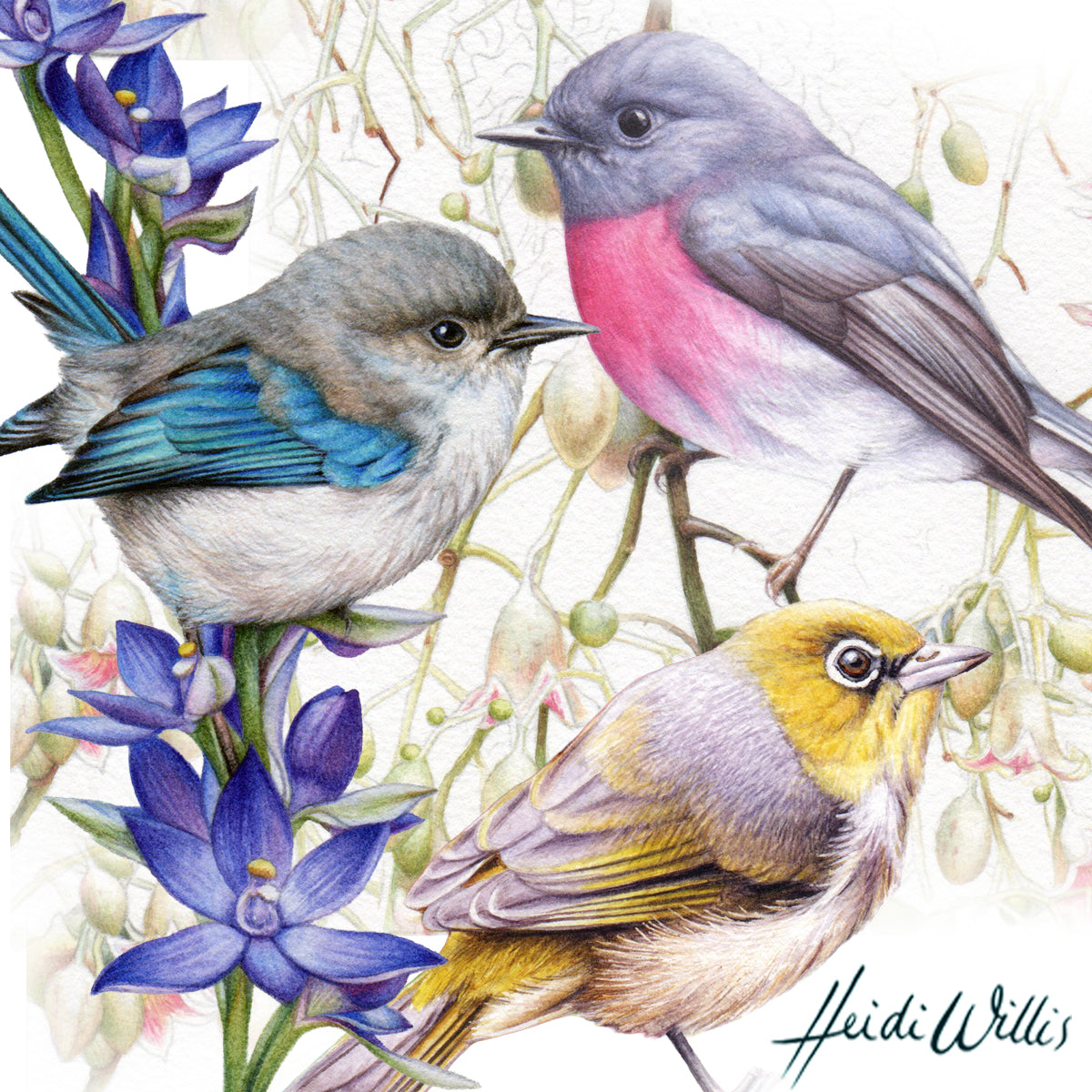Small Bird with Botanical Elements in Watercolour – Artable