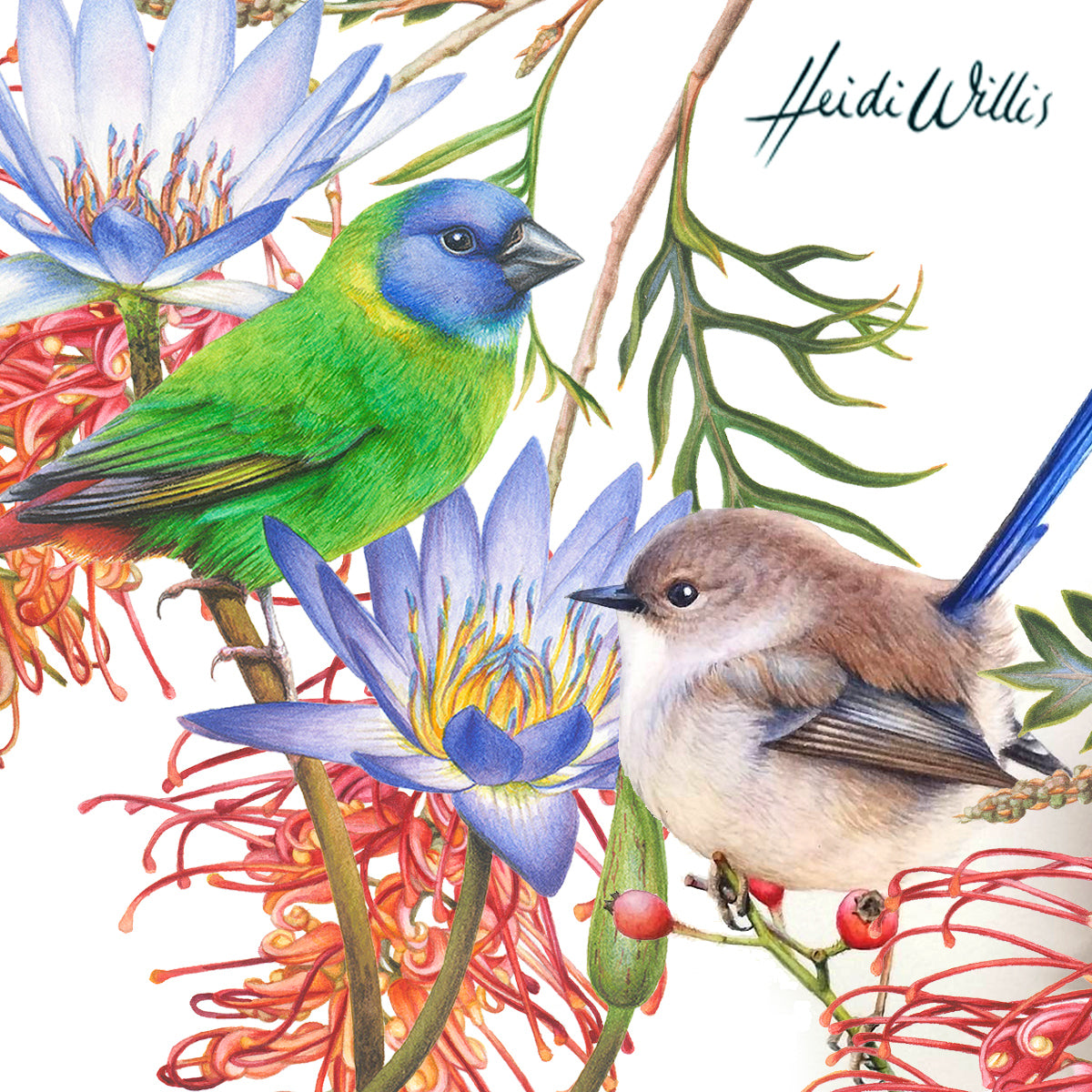 Classic Styled Bird/Botanical Combo in Watercolour – Artable